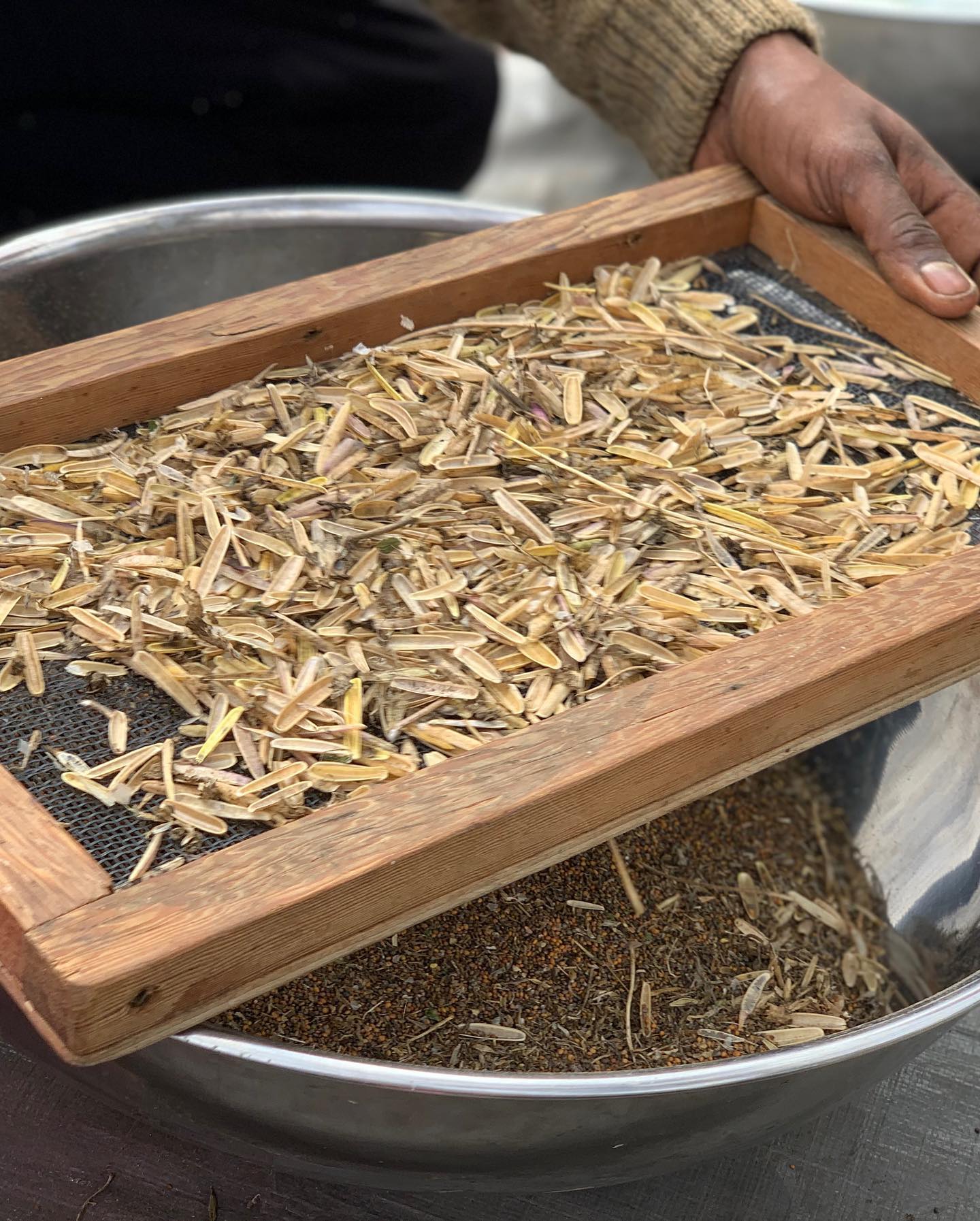 No Food Security without Seed Security - Chek News – Metchosin Farm
