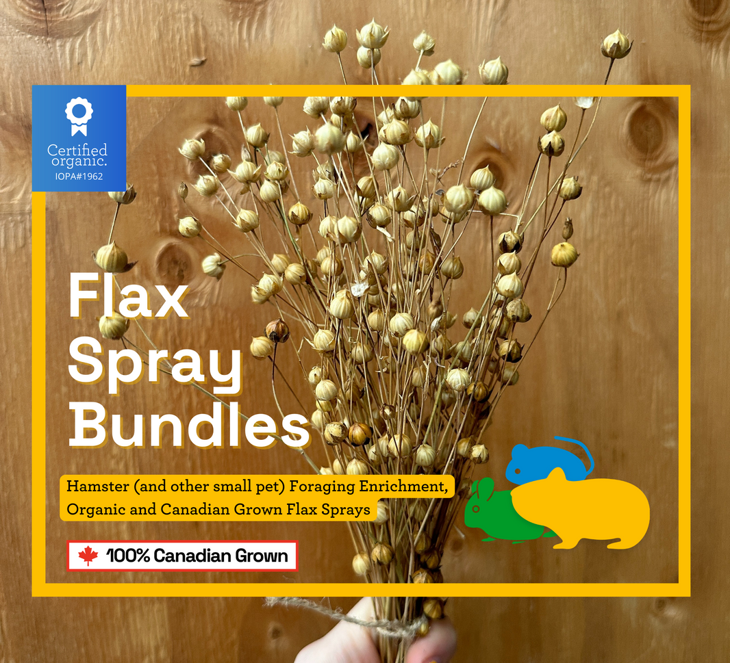 The Forager Pet | 100% Canadian Grown – Metchosin Farm