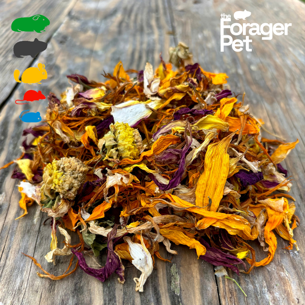 100% Canadian Grown Habitat Enrichment Flower Power Mix – Metchosin Farm