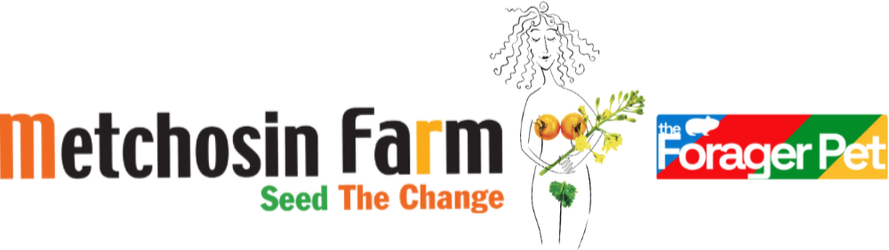 100% Canadian Grown Tobacco Seeds – Metchosin Farm