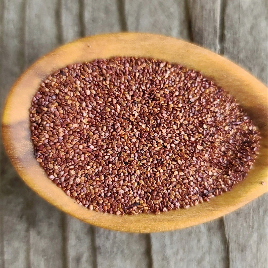 100% Canadian Seeds & Pet Treats | Non-GMO | Organic | Open-pollinated ...