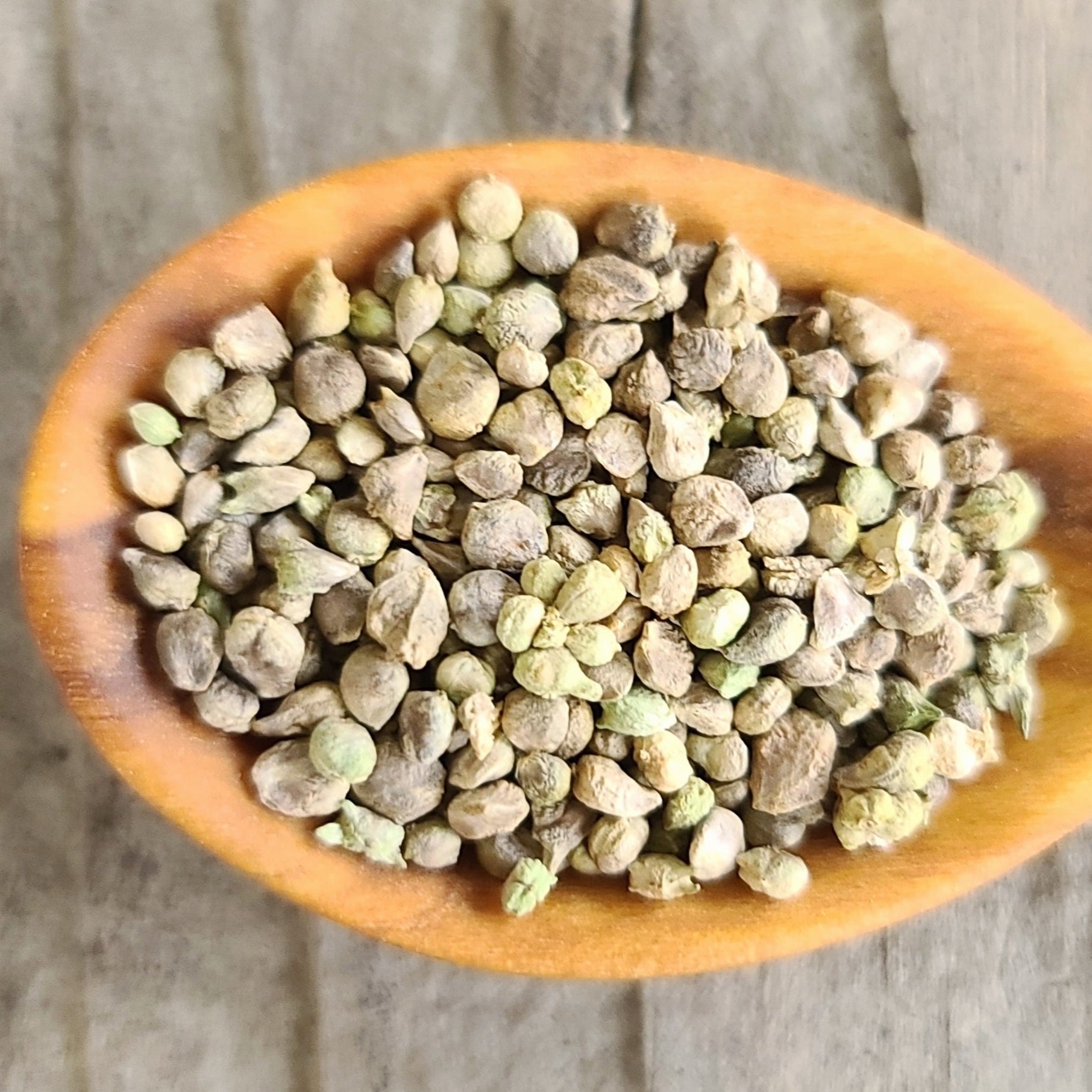 100% Canadian Grown Spinach Seeds – Metchosin Farm