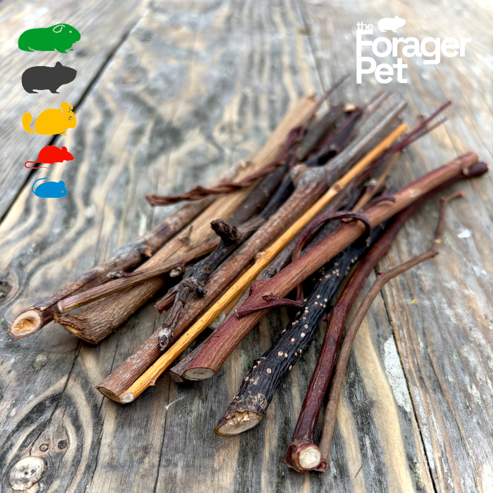 100% Canadian Grown Enclosure Enrichment Tasty Twigs – Metchosin Farm