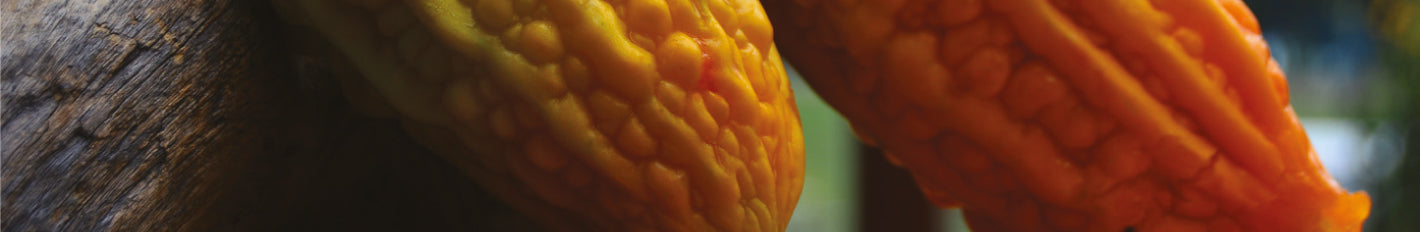 Contact – Metchosin Farm